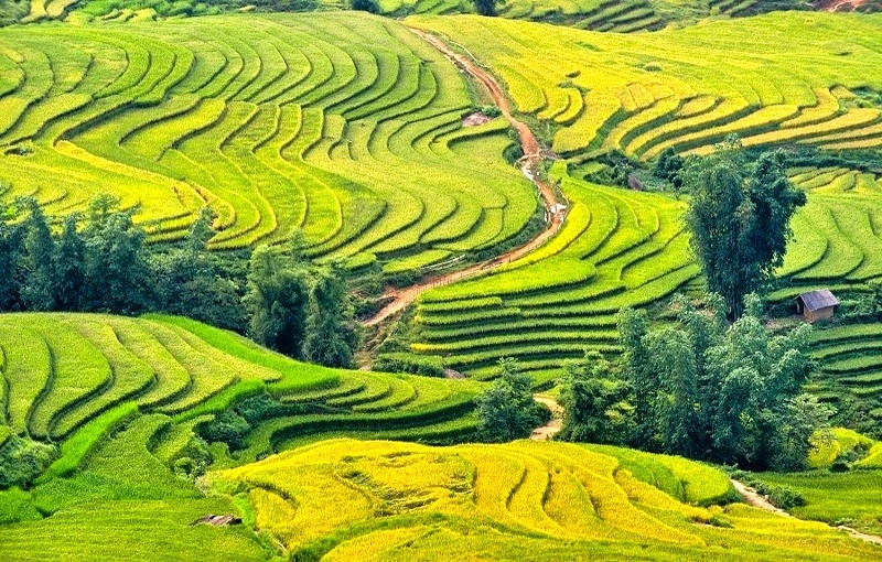 Hà Nội - Lào Cai